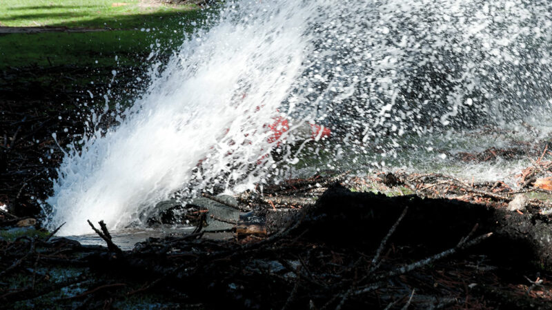 What Causes Burst Water Pipes? And How To Prevent Them